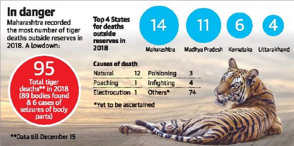India recorded 95 tiger deaths in 2018, 41 outside reserves - Chinmaya ...