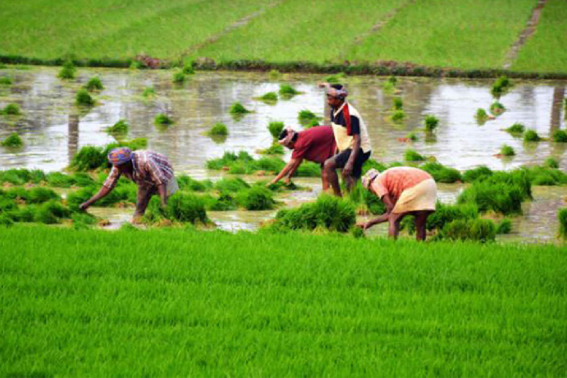 e-technology in the aid of farmers Issues related to direct and ...