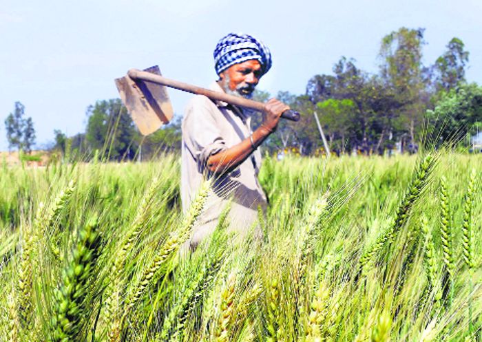 FARM LAWS - Chinmaya IAS Academy - Current Affairs