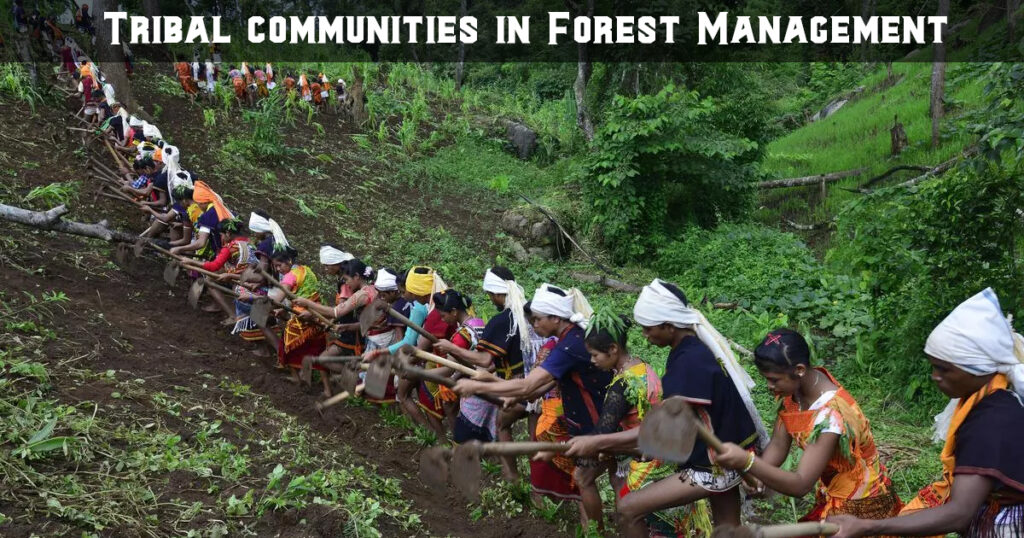 To preserve forests, it’s important to listen to tribal communities ...