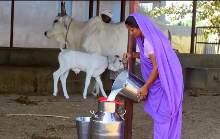 Revised National Program for Dairy Development (NPDD) – Chinmaya IAS ...
