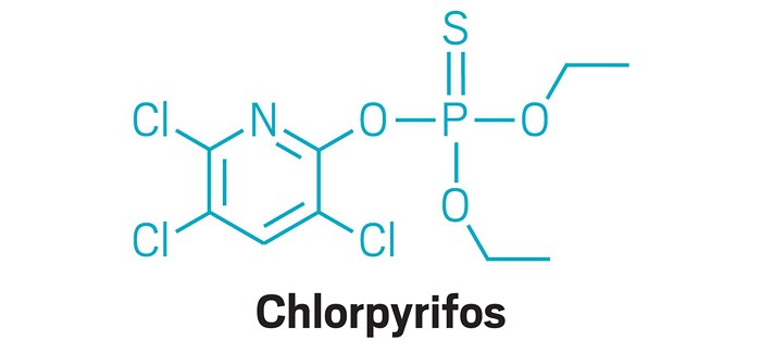 Chlorpyrifos – Chinmaya IAS Academy – Current Affairs